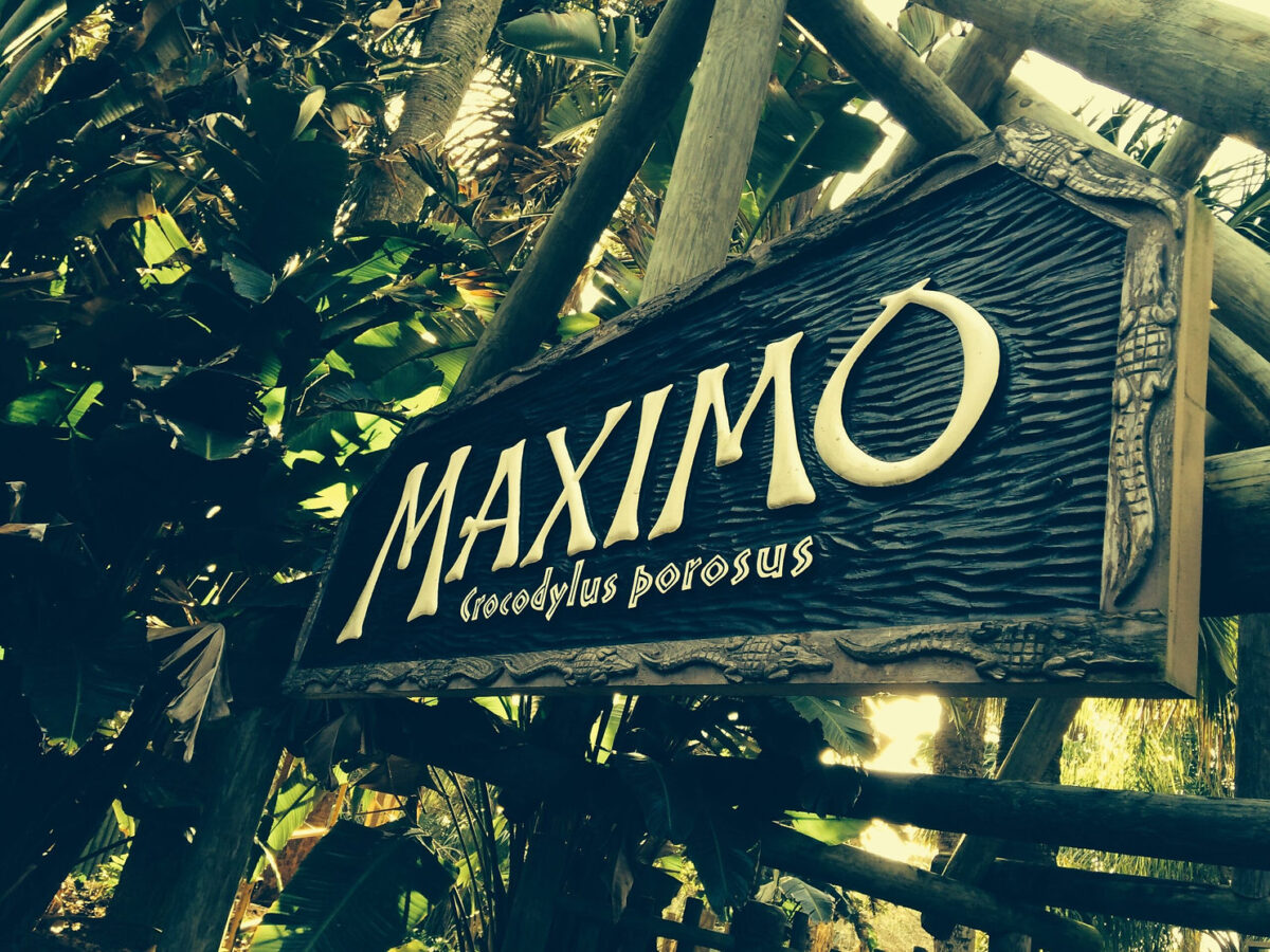 V-groove signs - Royal Foam US